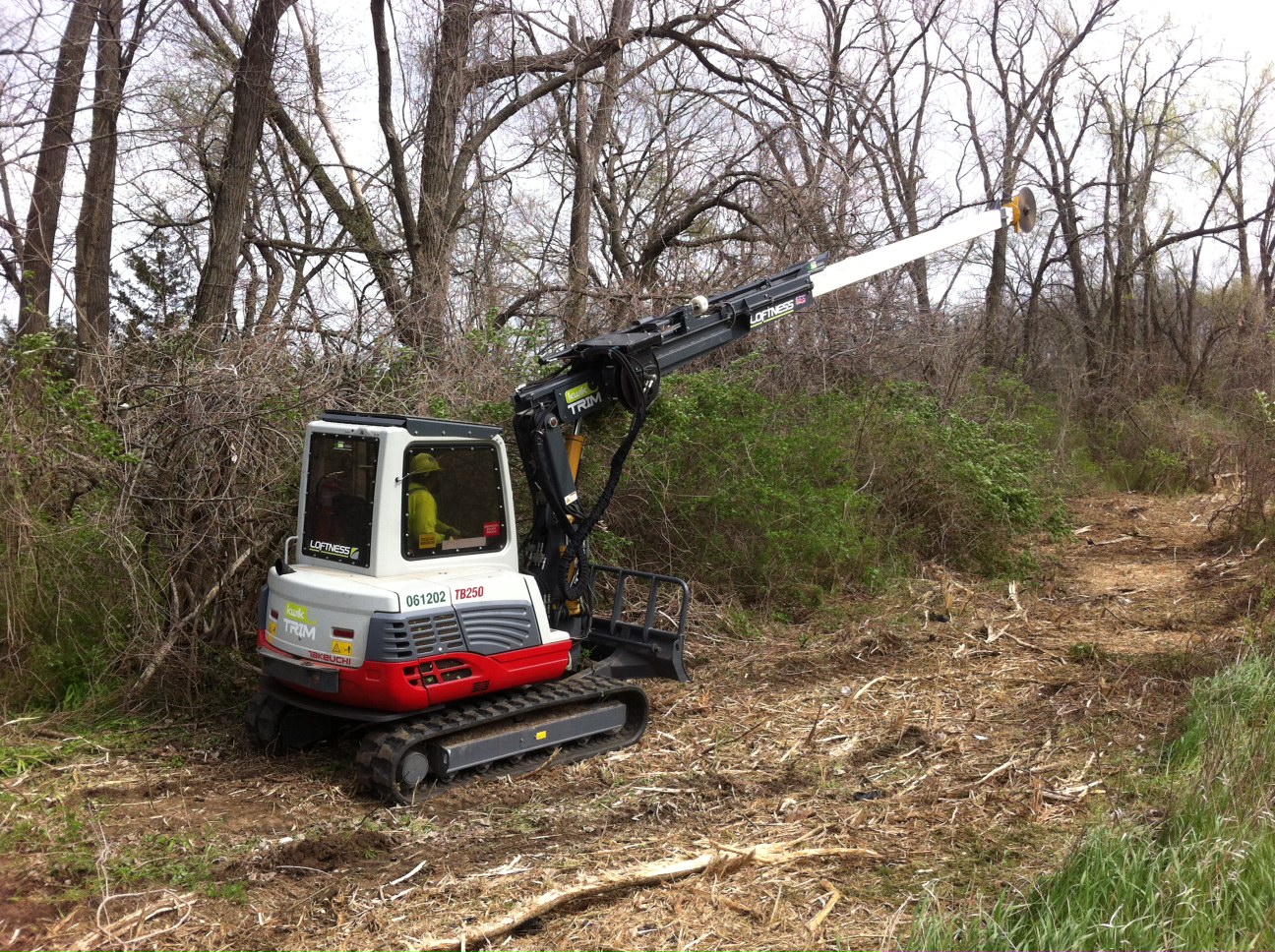 The Wright Way to Trim Trees - Loftness
